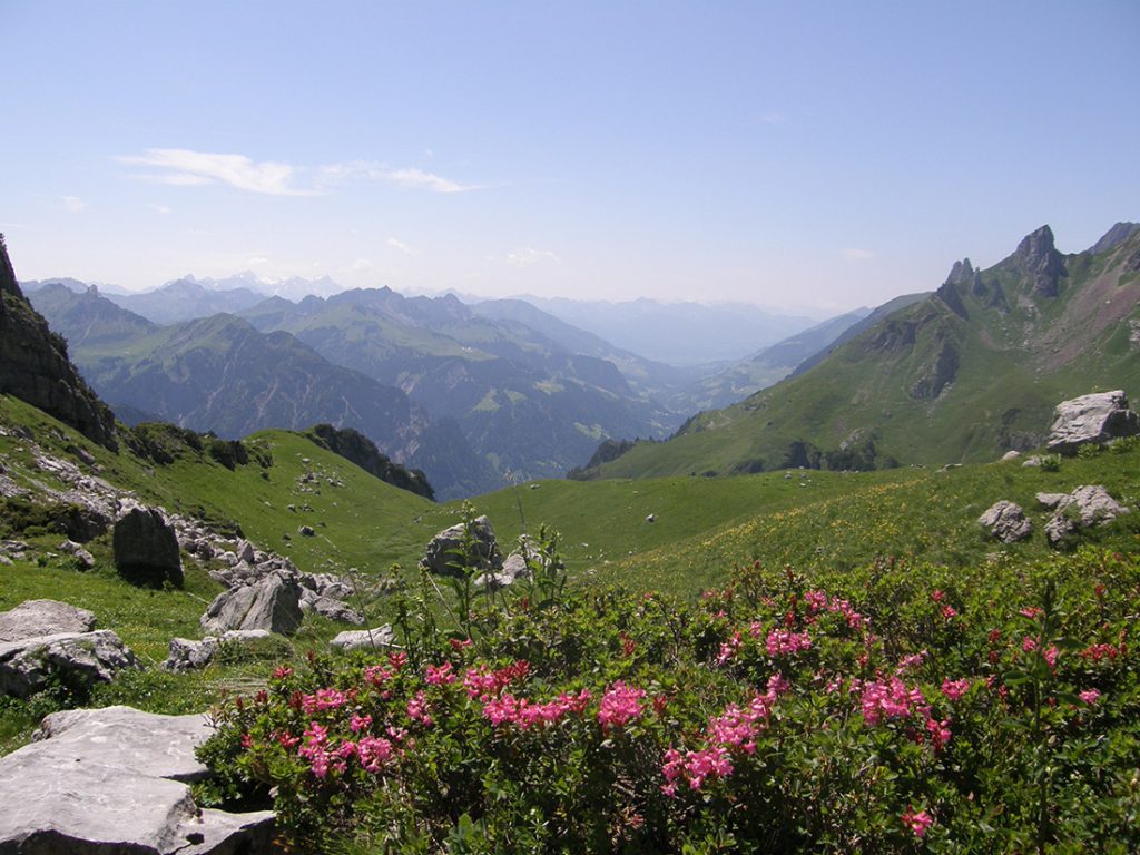 The Unesco Biosphere Reserve Großes Walsertal – BIG SEE Make Sense