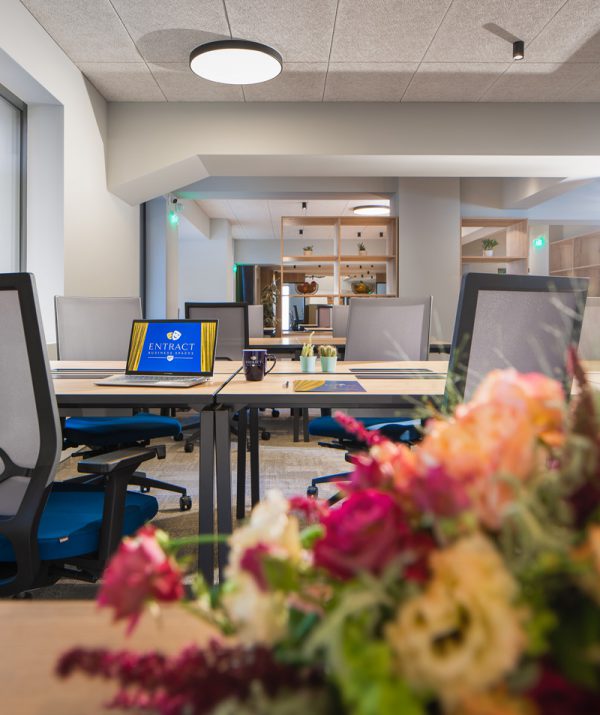 Entract 127, Sofia – BIG SEE Make Sense