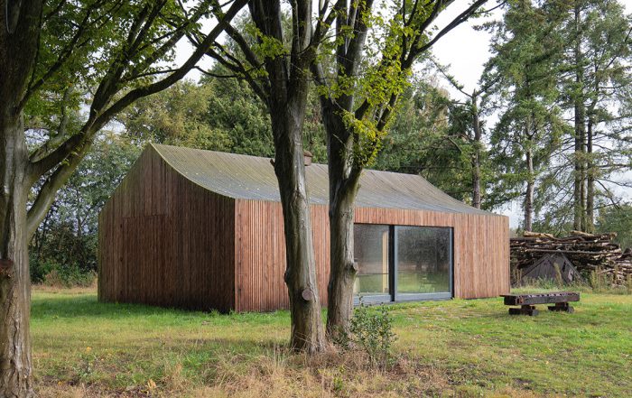 Shady Shed – BIG SEE Make Sense