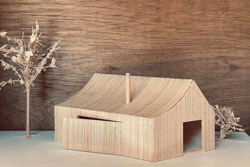Shady Shed – BIG SEE