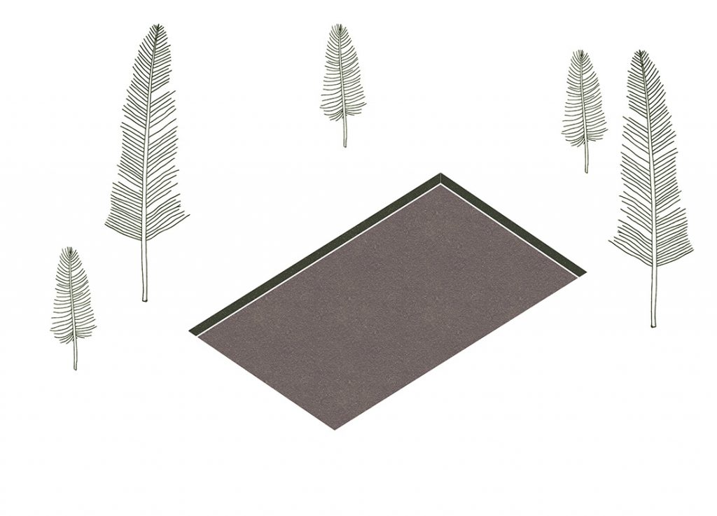 Shady Shed – BIG SEE Make Sense