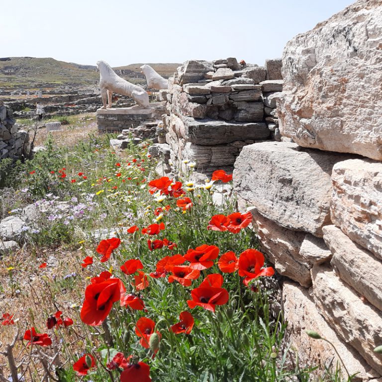 Aeneas’ route cultural itinerary – BIG SEE Make Sense