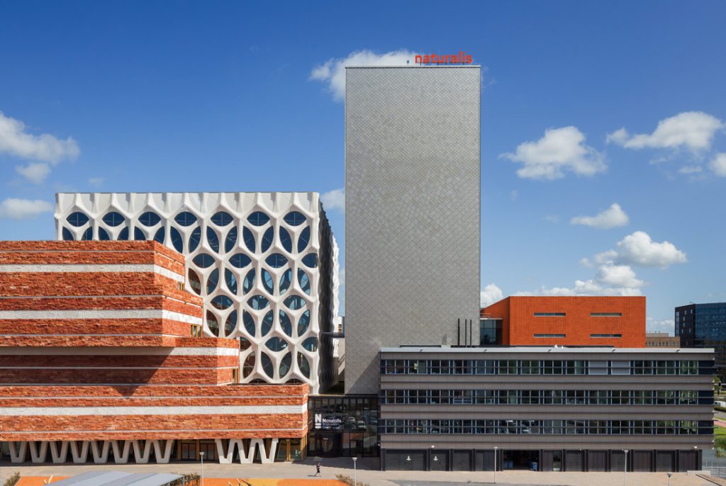 Naturalis Biodiversity Center – BIG SEE