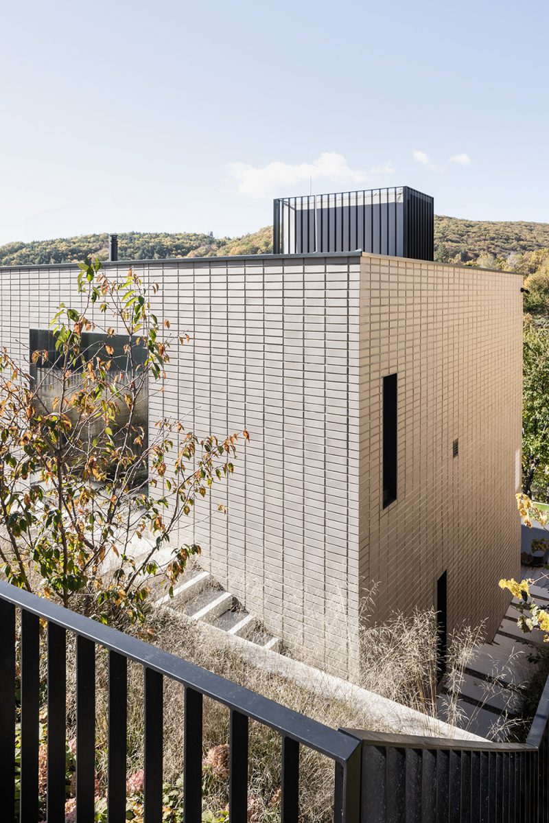 Domm – BIG SEE Make Sense