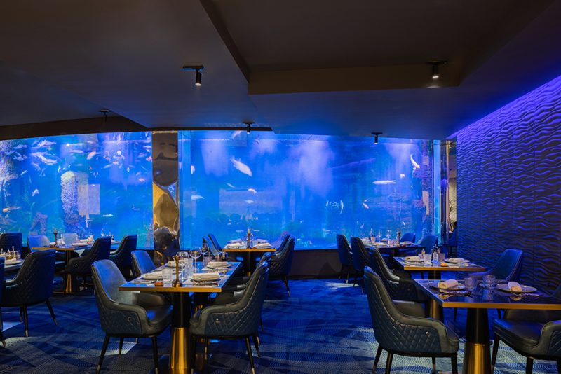 Mr Fisher Restaurant – BIG SEE