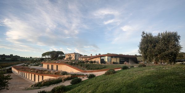 Tenuta il Quinto Winery