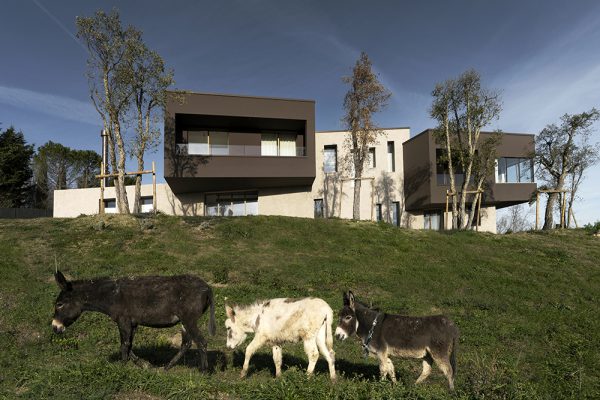 Lift House – BIG SEE