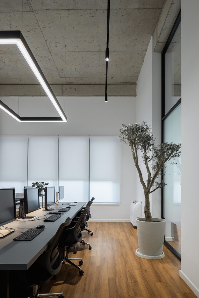 EKII Architects Office – BIG SEE Make Sense