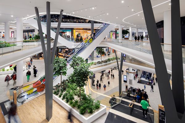 Nivy Centrum – BIG SEE