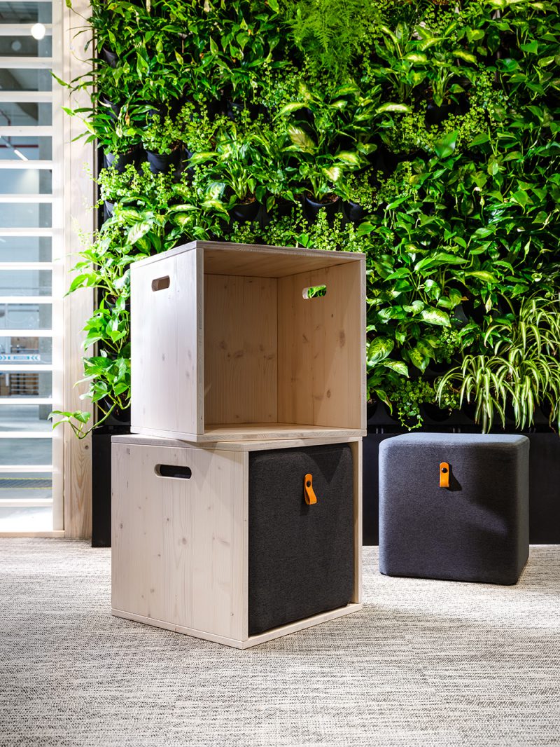 Piece Of The Amazon In Manufacturing Facility – BIG SEE