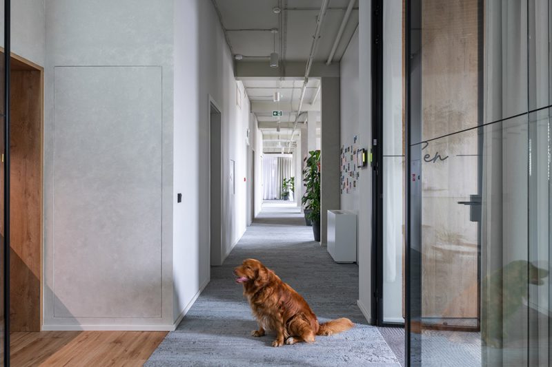 IRESOFT Brno, new offices – BIG SEE