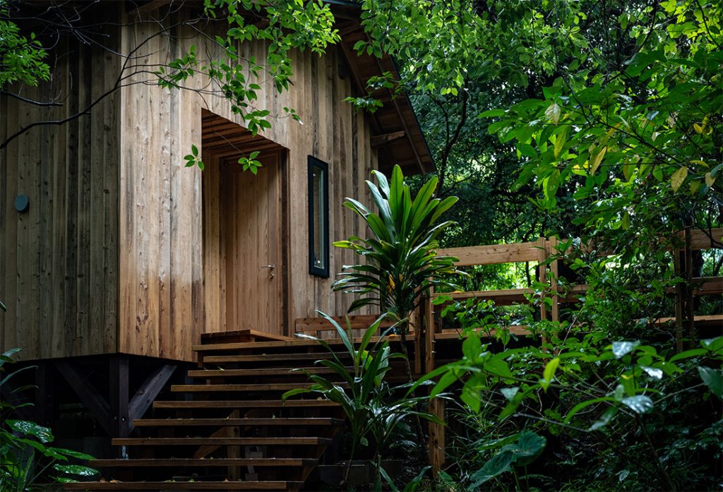 Sumu Yakushima -Regenerative Life Studio- – BIG SEE