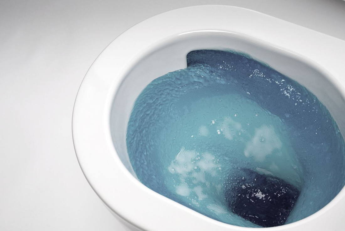 PURE VORTEX – BIG SEE Make Sense