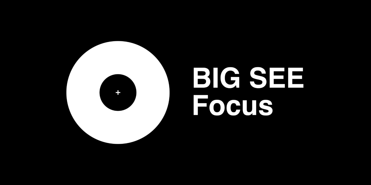 Introducing BIG SEE Focus Series – BIG SEE Make Sense