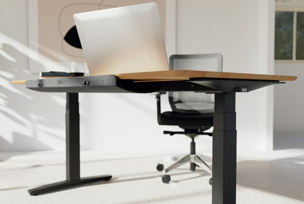 Yaasa Desk Expert – BIG SEE