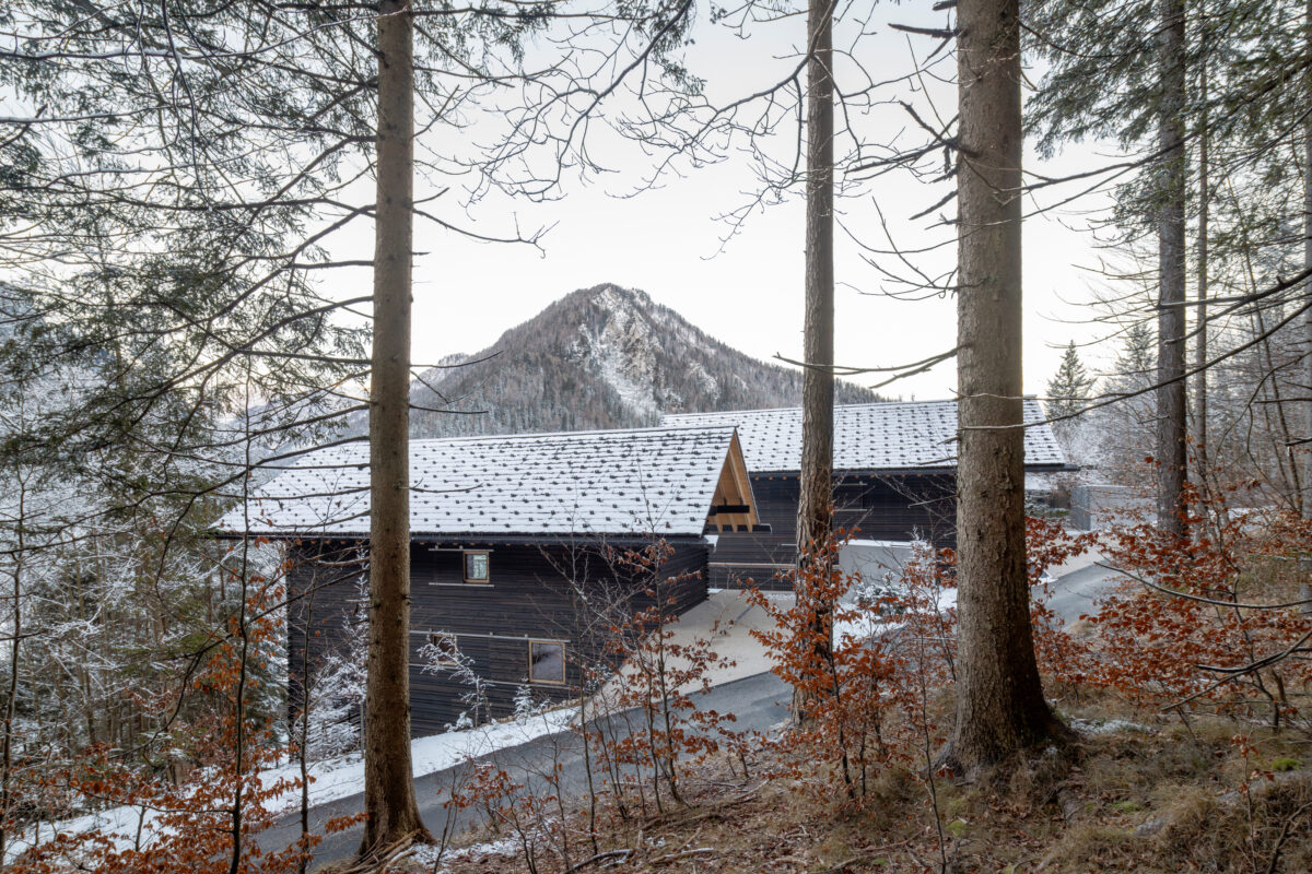 Twin Alpine Houses in Kranjska Gora: Dekleva Gregoric Architects ...